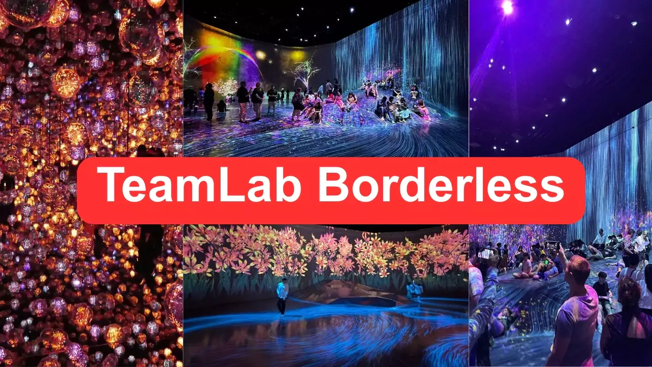 How to Explore 5 Hidden Gems at TeamLab Borderless