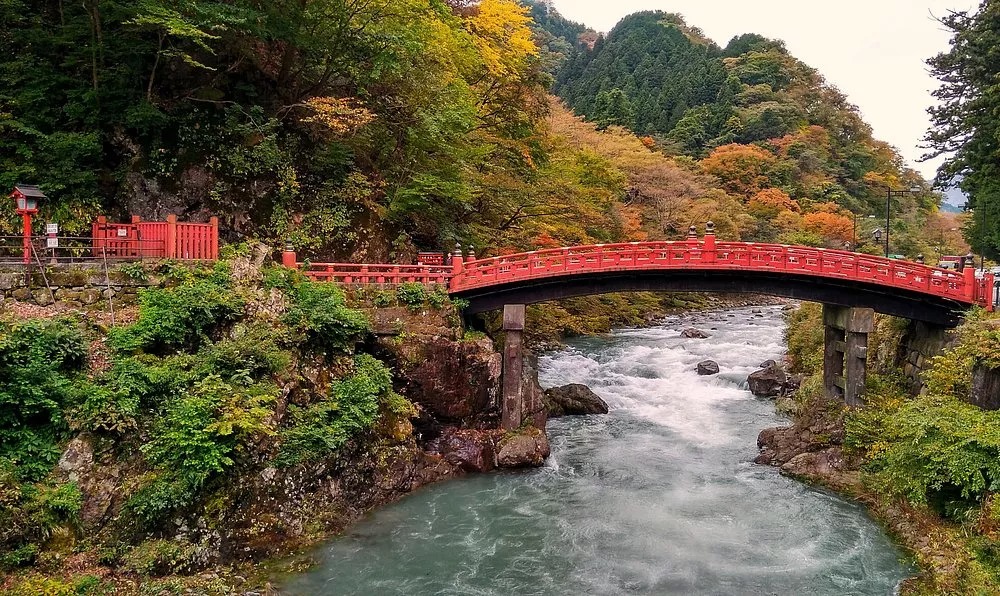 Tochigi Autumn Magic: 7 Reasons to Visit This Fall